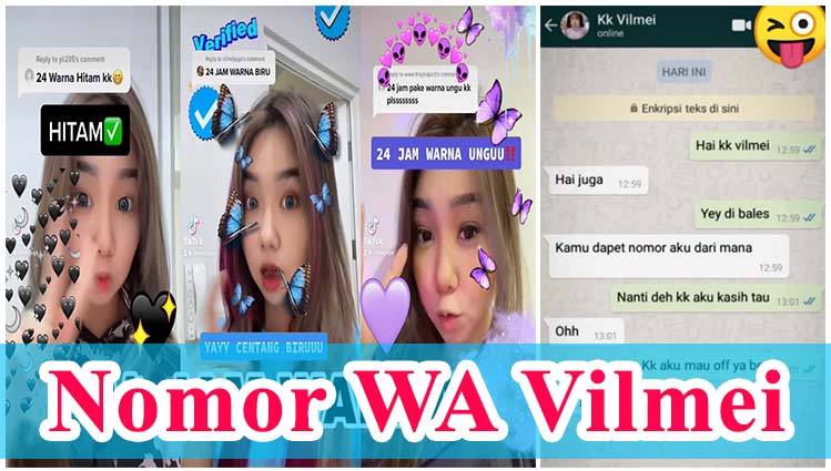 Nomor Wa Vilmei Tiktok yang Asli dan Aktif (Real) 2024