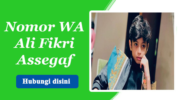 Nomor Wa Vilmei Tiktok yang Asli dan Aktif (Real) 2024