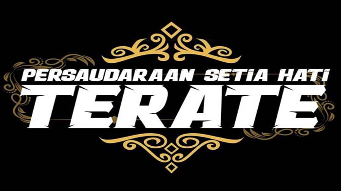 Gambar Senam Dasar PSHT 1-90 PDF Lengkap